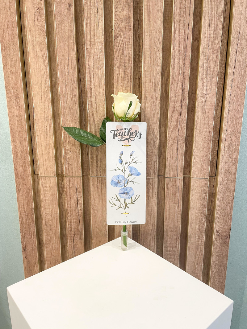 Pink Lily Flowers - Bahrain