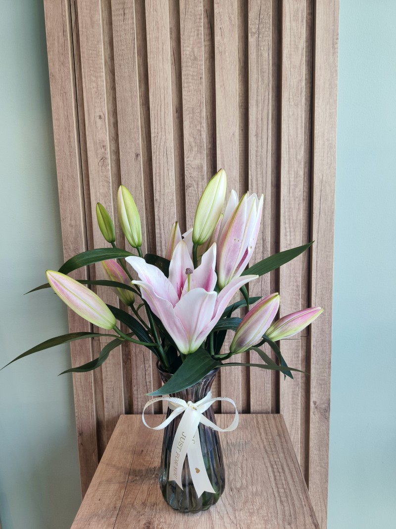 Pink Lily Flowers - Bahrain