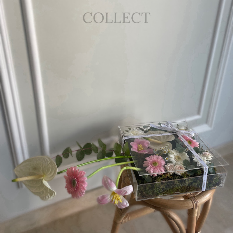 Collect Flowers